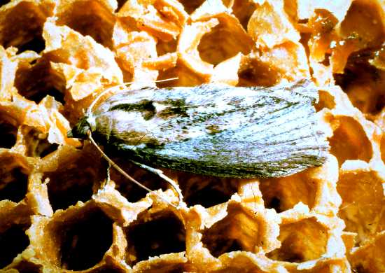 La Teignes – Mes Passions